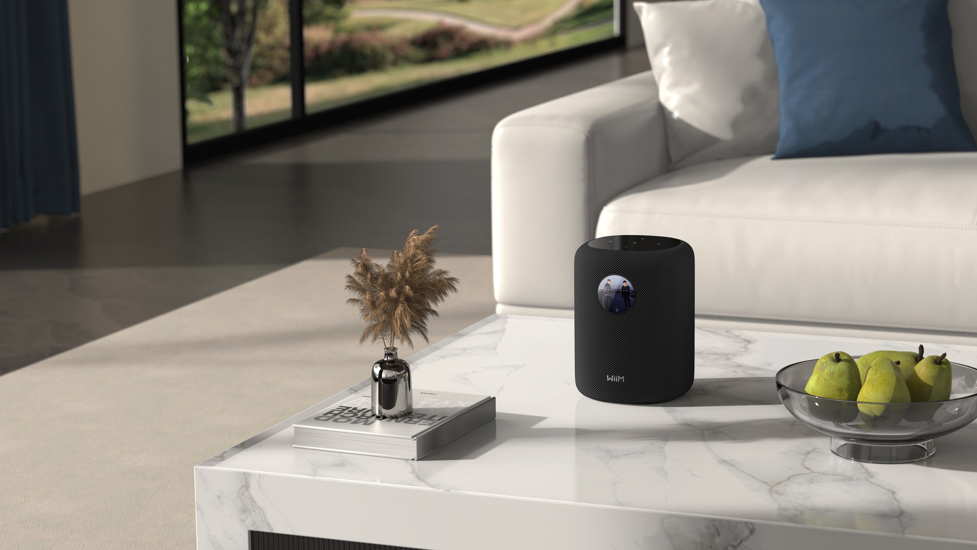 WiiM Audio Deutschland | Hochwertige HiFi Audio Streamer